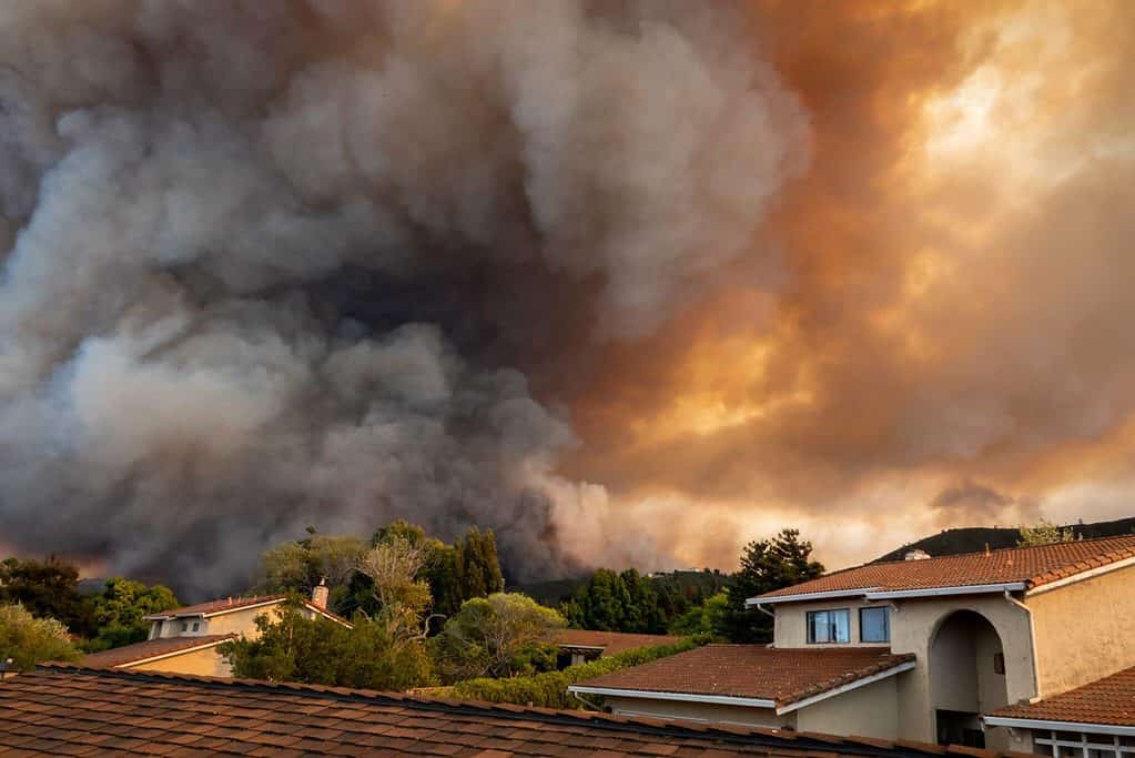The Affects of Wildfire Smoke on Solar Production - Solar Negotiators