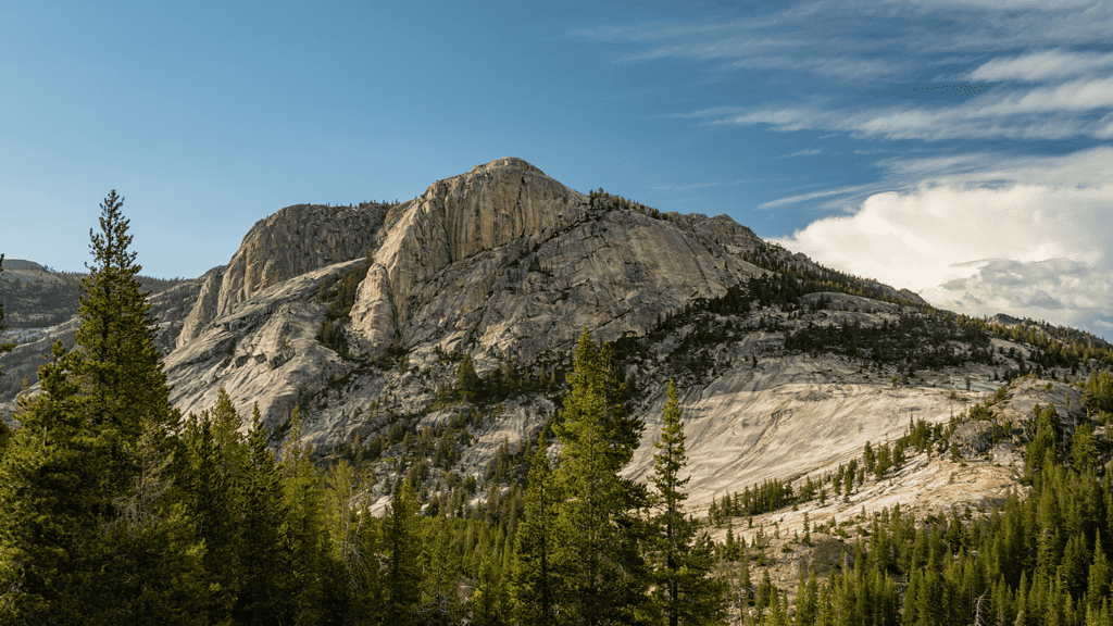 Mountain Community Promo | Solar Negotiators